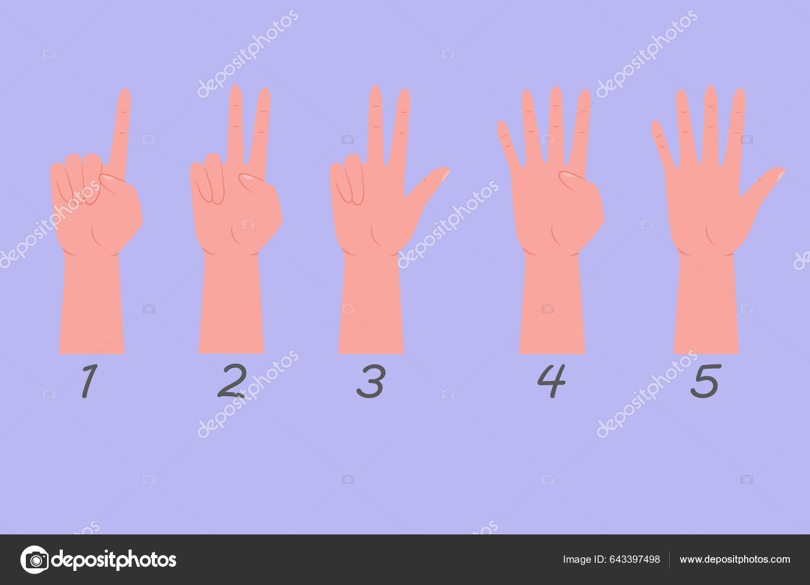 Set Hands Set Counting Hands Sign One Ten Finger Gestures Stock Vector by ©Poliashenko 643397498