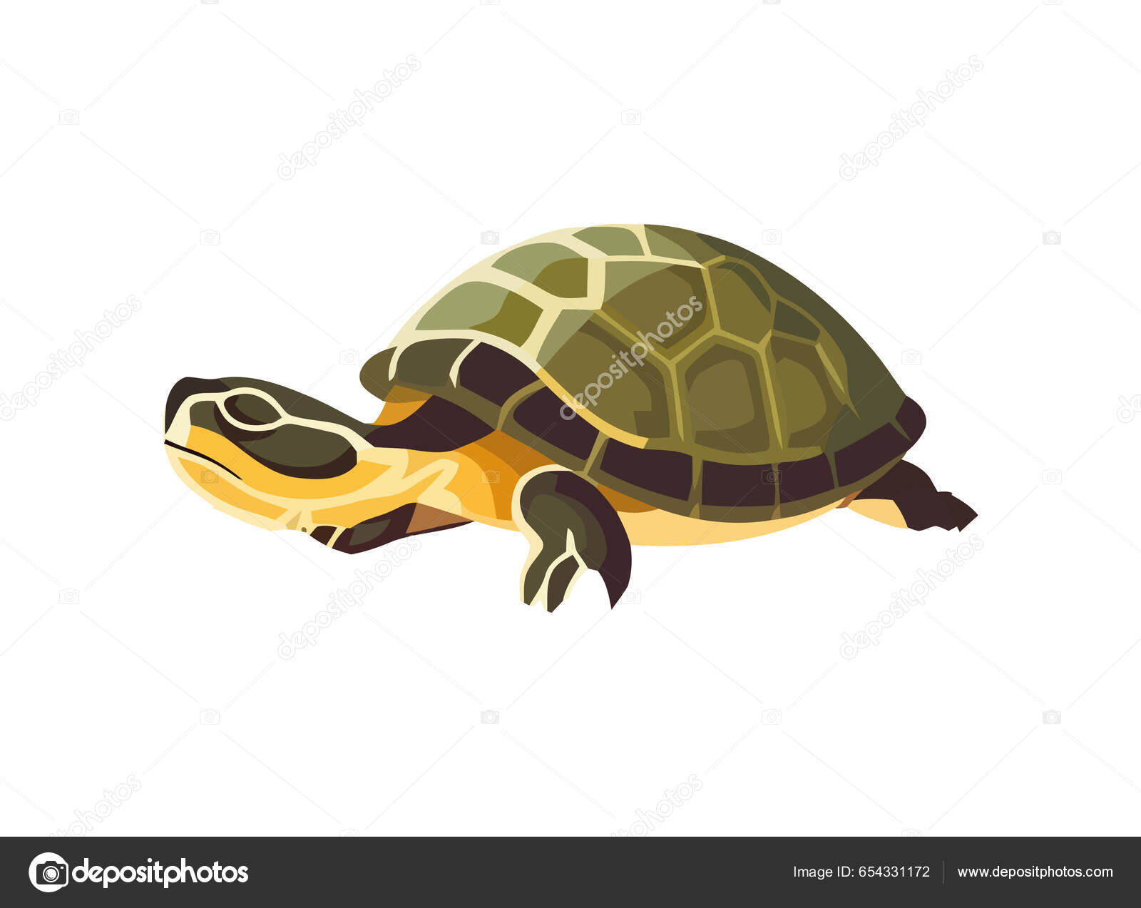 Slow Turtle Icon