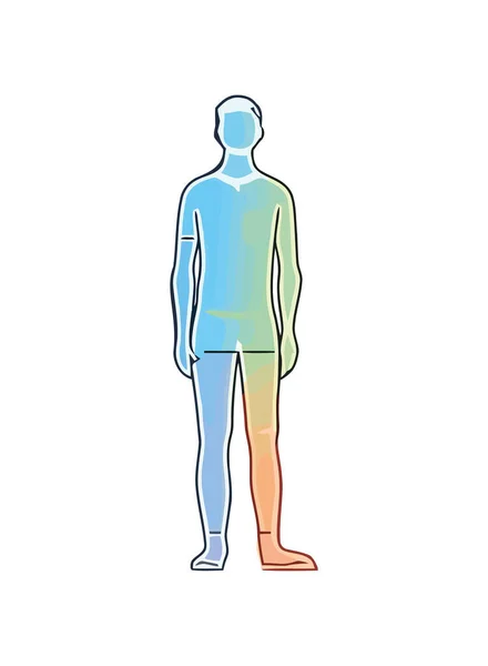 Human body standing up Stock Vector by ©djv 482926494