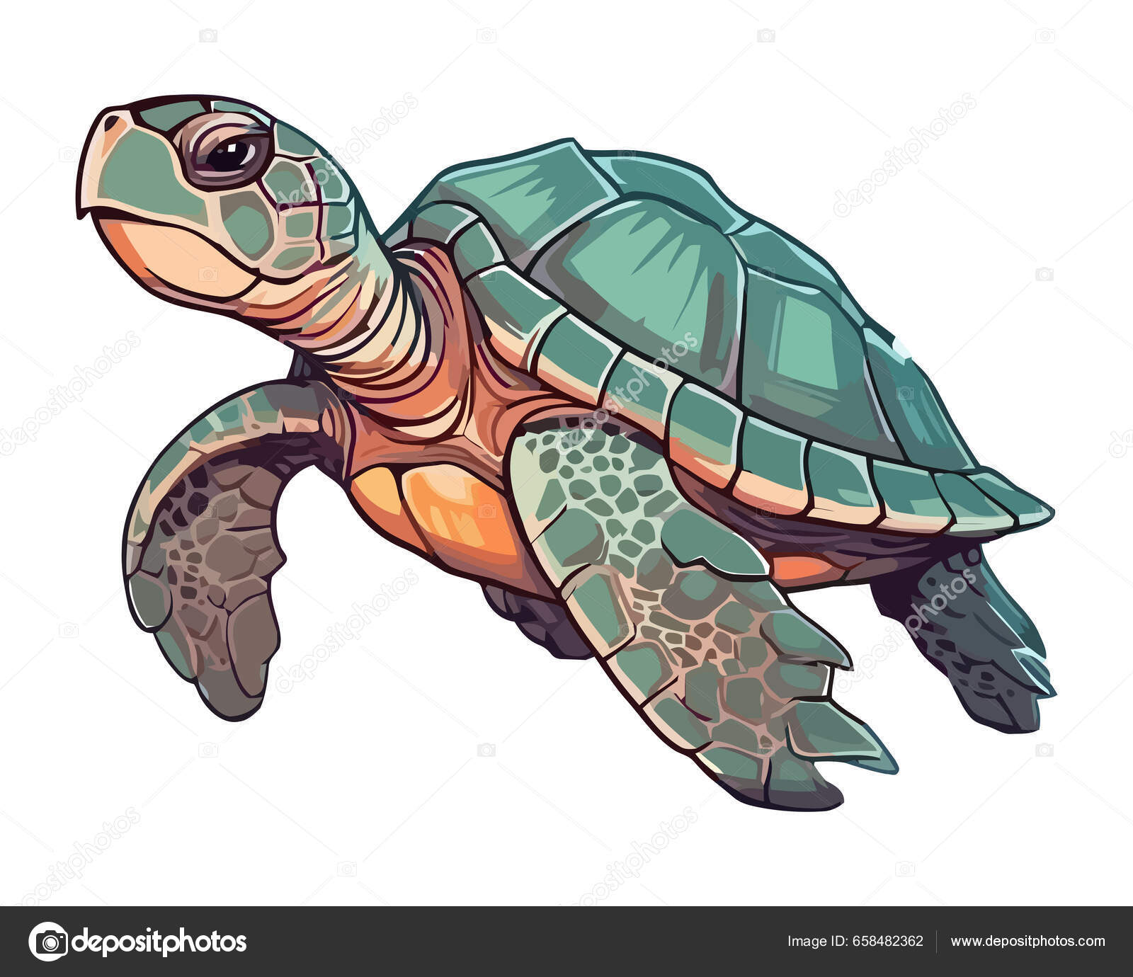 Slow Turtle Cartoon