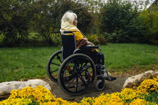 Back view of elderly grandmother in wheelchair in autumn nature ...