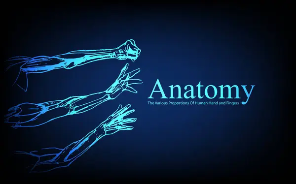 Anatomie maladie images libres de droit, photos de Anatomie maladie ...