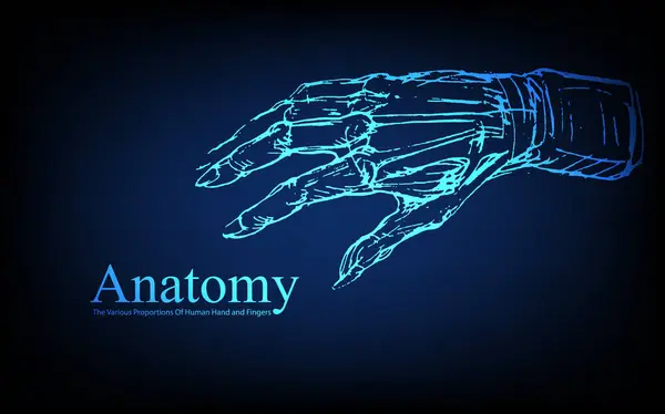 Planos anatomia images libres de droit, photos de Planos anatomia ...