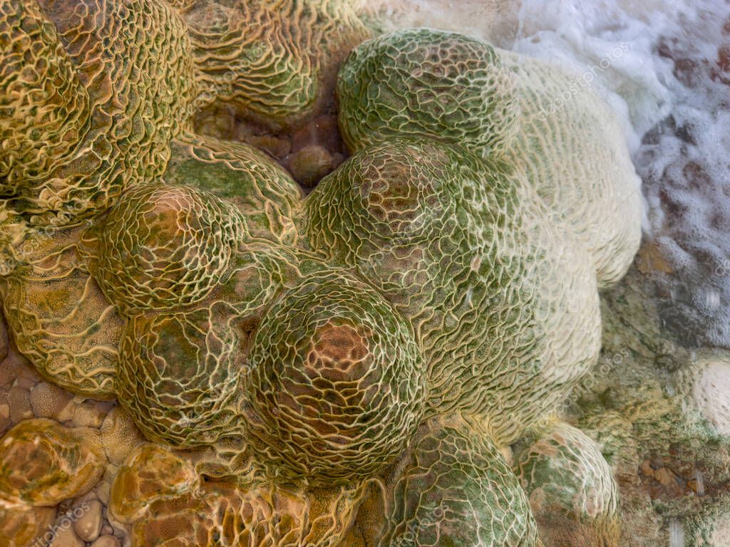 fuente de agua caliente subterránea y los colores y cambios en las ...