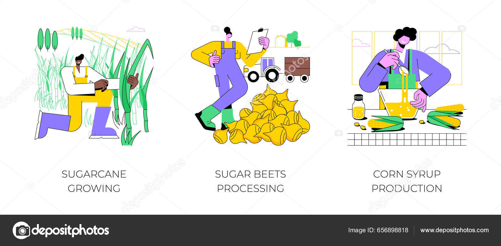 Sugar Production Isolated Cartoon Vector Illustrations Set Sugarcane ...