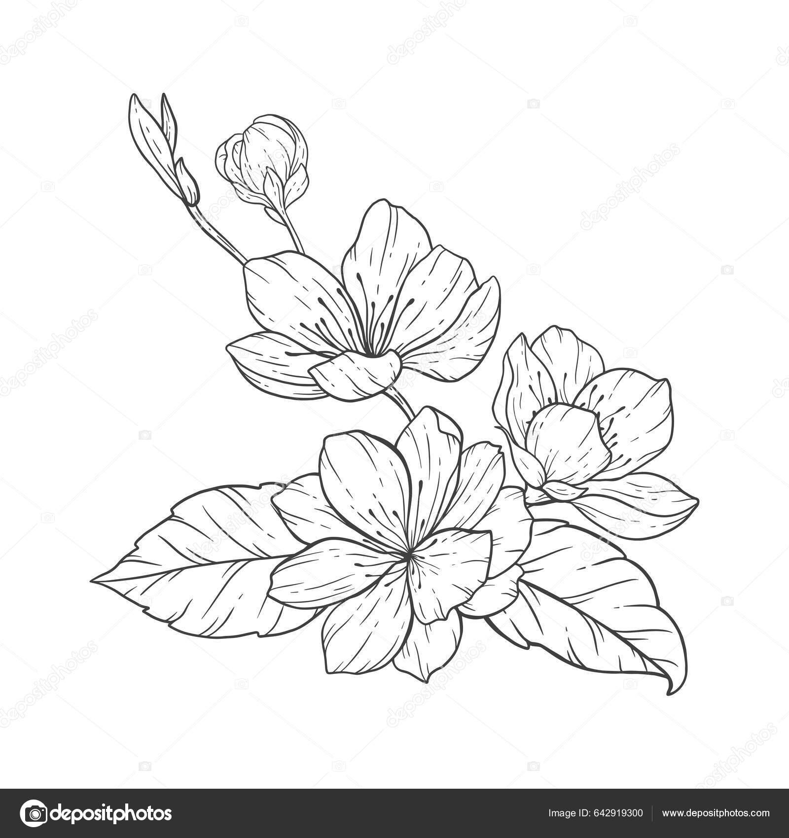 Flower Stencil Outline