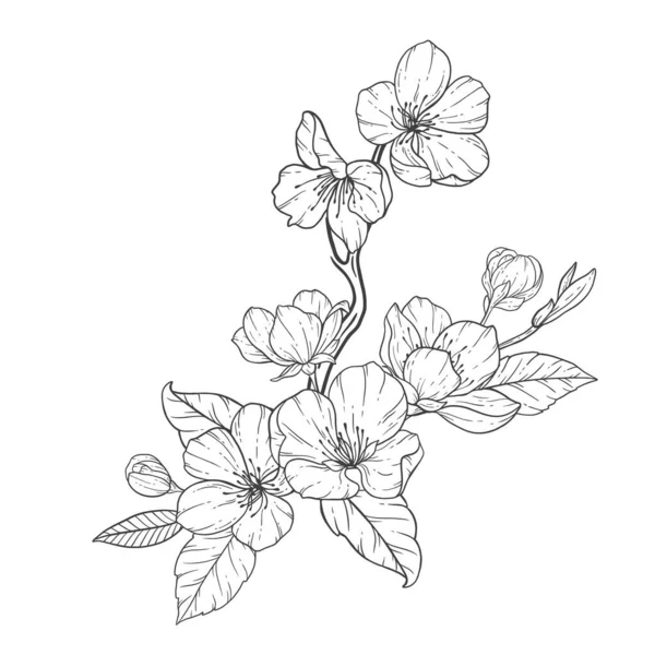 Floral Line Art Sakura Flower Outline Illustration Set Hand Painted ...