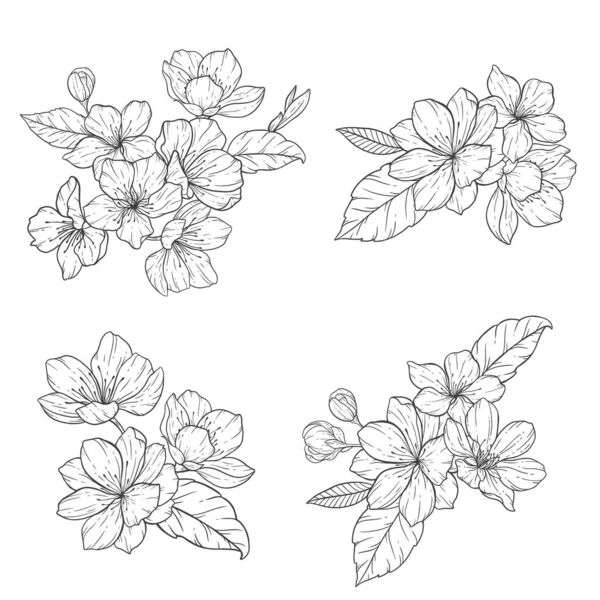 Floral Line Art Sakura Flower Outline Illustration Set Hand Painted ...