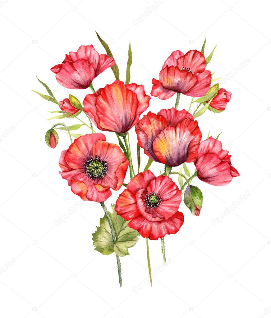 Flores de amapola roja Ilustración de acuarela, ramo de flores ...