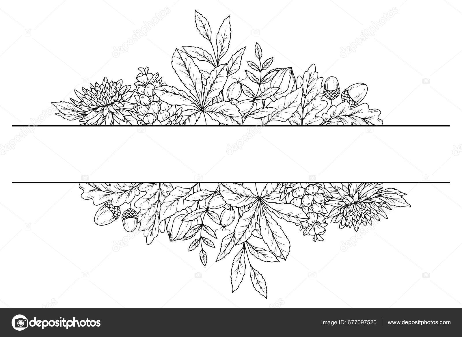 Fall Floral Frame Outline Fall Foliage Line Art Illustration Outline ...