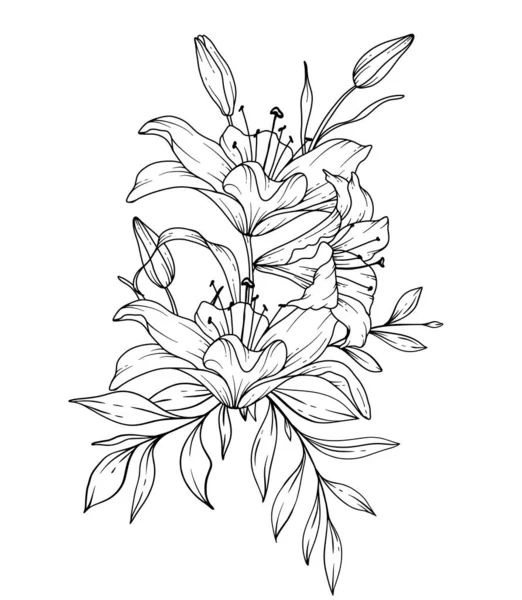 Peony Line Drawing Ramos Florales Blanco Negro Página Para Colorear ...
