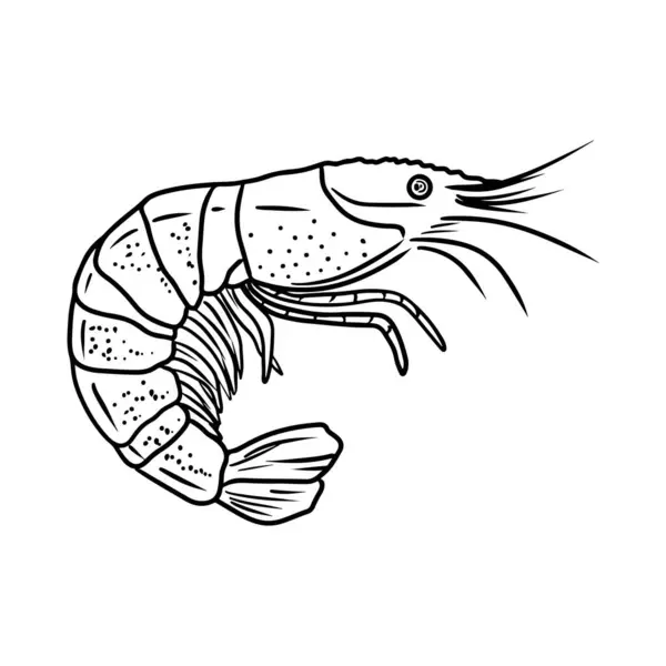 7,000,000+ vectores de Dibujos animados de camarones, imágenes ...