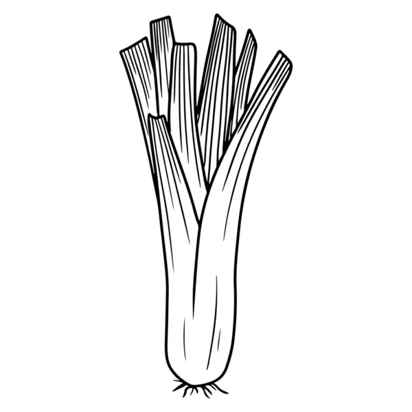 25,744,885 Trachea e Vector Images | Depositphotos