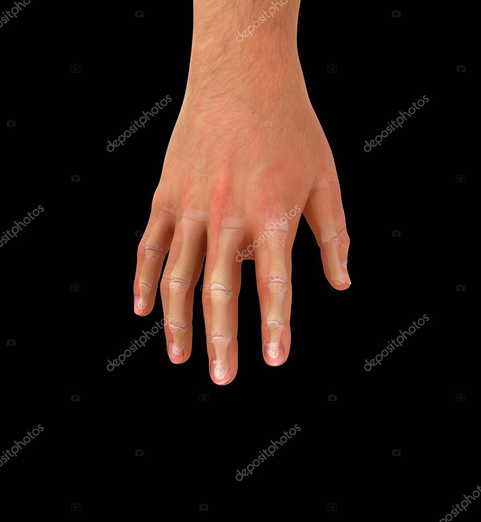 Ilustración 3d del hueso de la rótula en la articulación de la rodilla ...