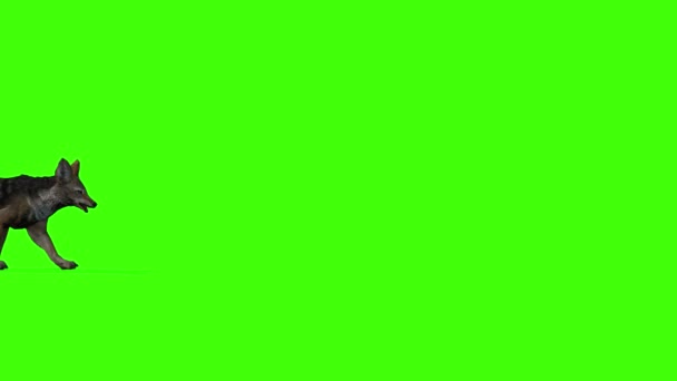 2,101 Green screen jump Videos, Royalty-free Stock Green screen jump ...