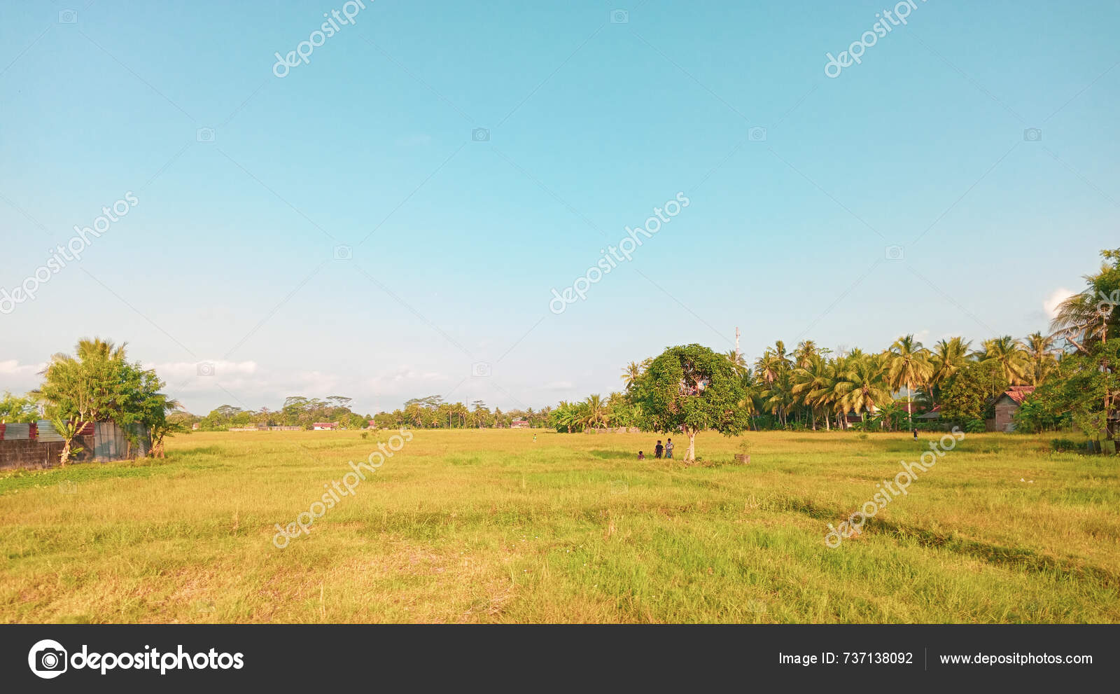 Combination Blue Sky Beautiful Expanse Green Rice Fields — Stock Photo ...