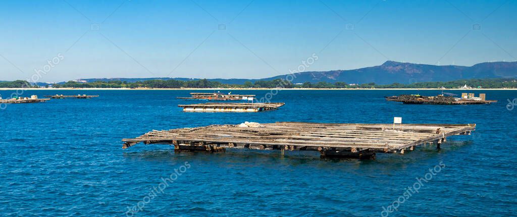 Mussel Aquaculture Rafts Batea, Mussel Growing Sea Platform, Batea ...