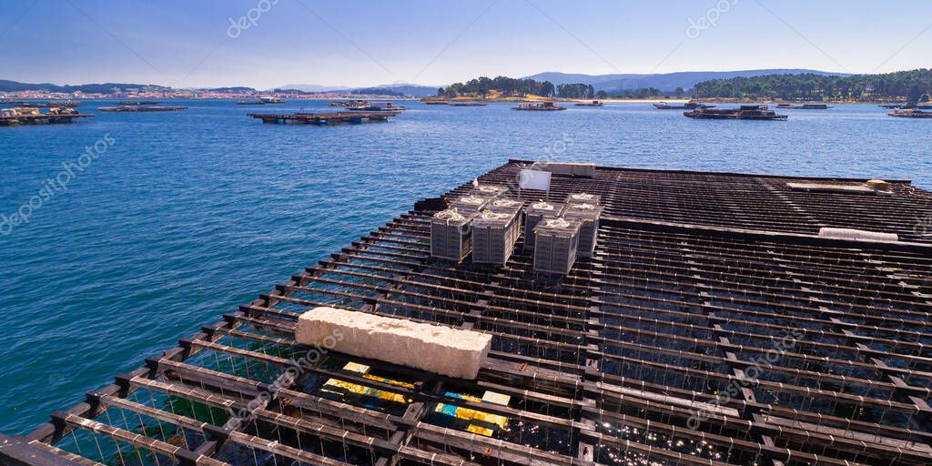 Mussel Aquaculture Rafts Batea, Mussel Growing Sea Platform, Batea ...