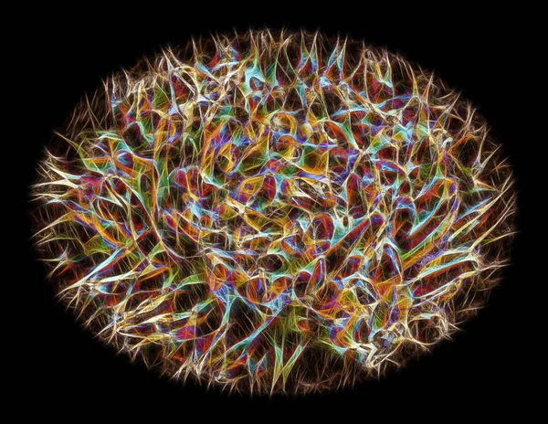 Structure of human cells Stock Photos, Royalty Free Structure of human ...