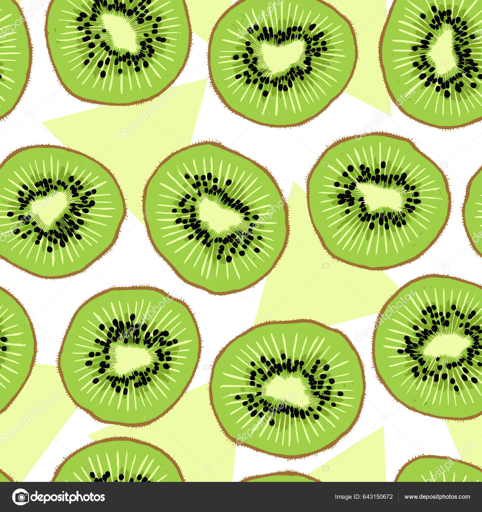 Kiwi Slice Vector