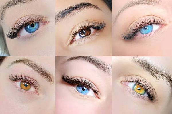 ⬇ Скачать картинки Lashmaker, стоковые фото Lashmaker в хорошем ...