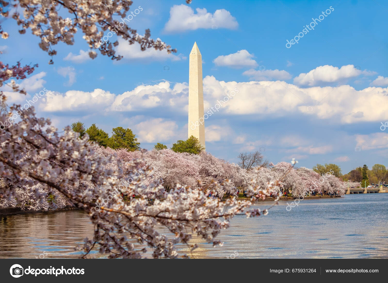 Washington Monument Cherry Blossom Festival Washington Usa Stock Photo by ©f11photo 675931264