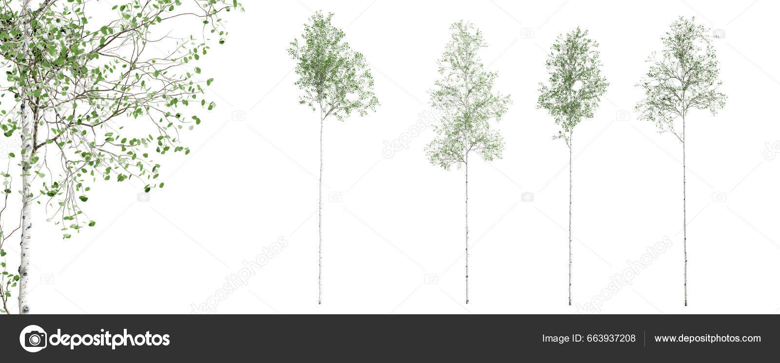 Aspen Tree Isolated White Background Close Render — Stock Photo © swavo #663937208