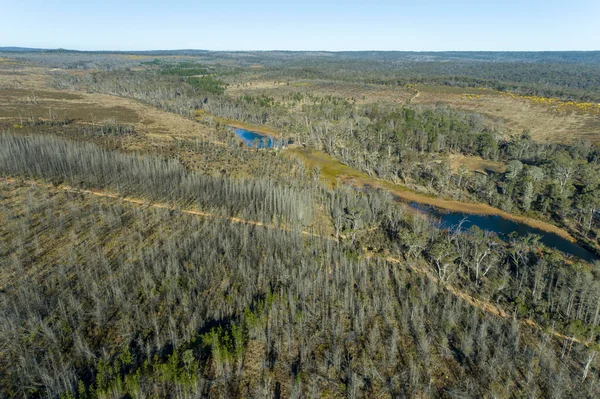 Newness Stock Photos, Royalty Free Newness Images | Depositphotos