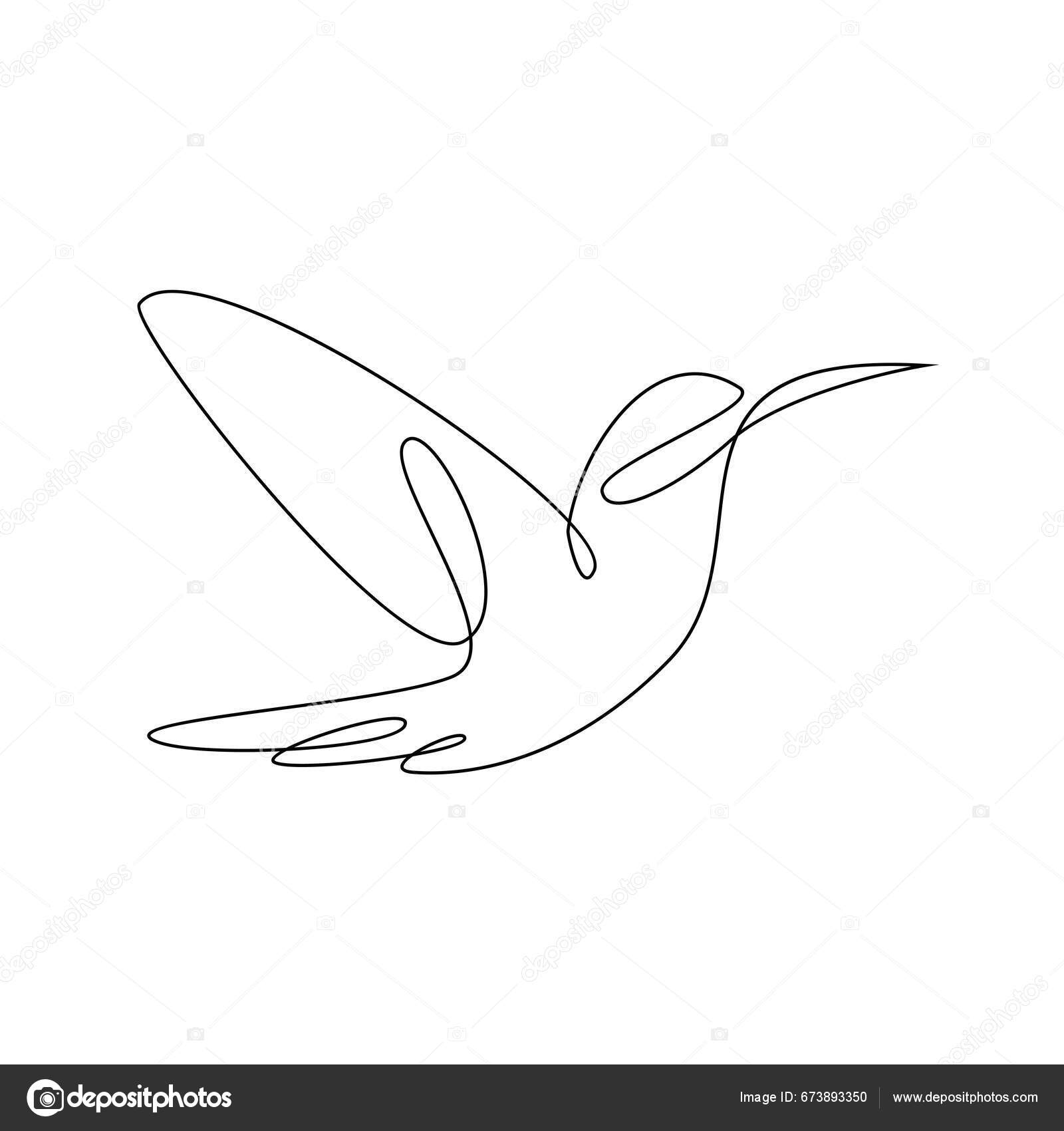 Hummingbird Line Illustration Template Stock Vector by ©Vectorydesign ...