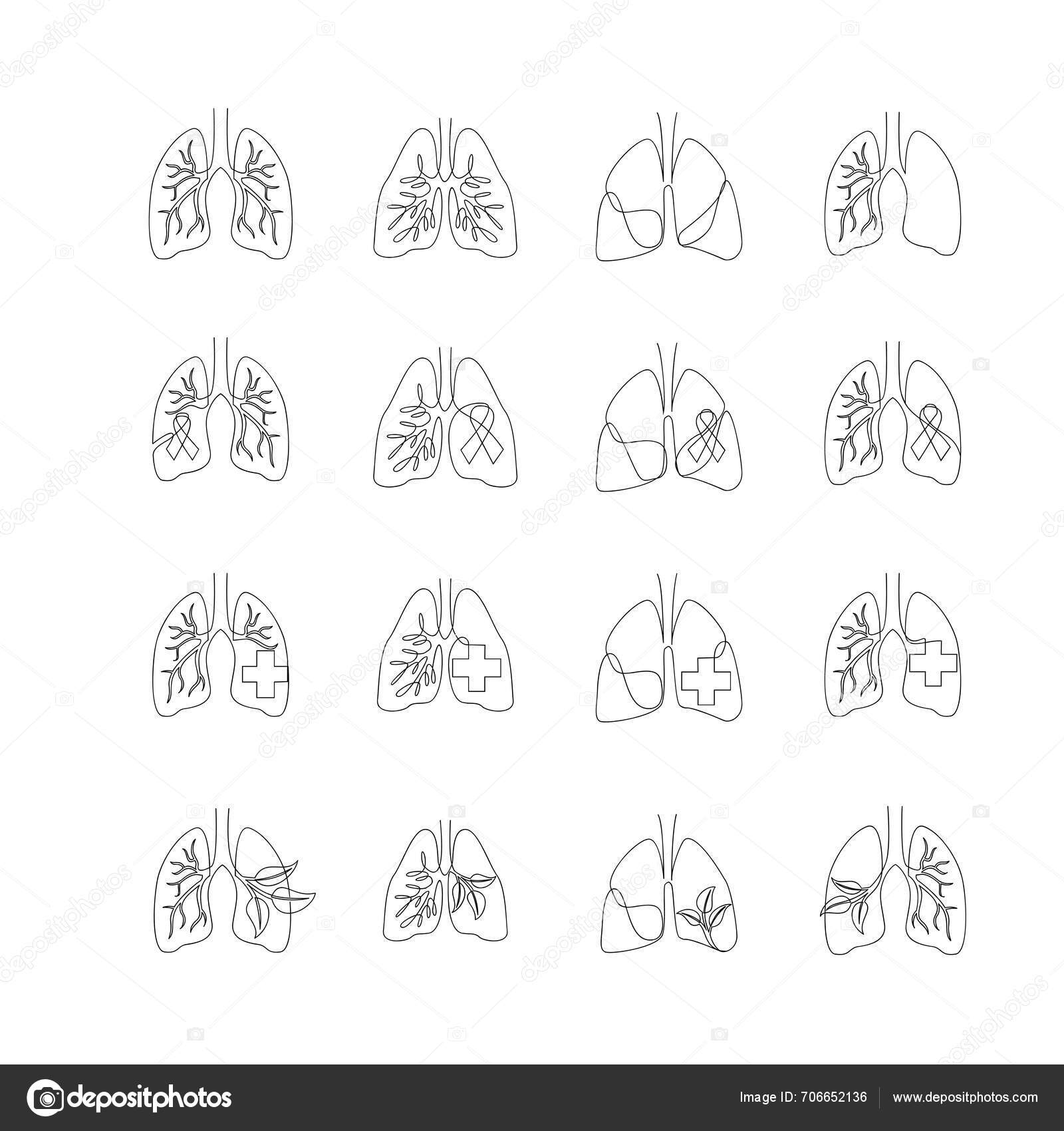 Lung Single Line Illustration Drawing Template Stock Vector by ...