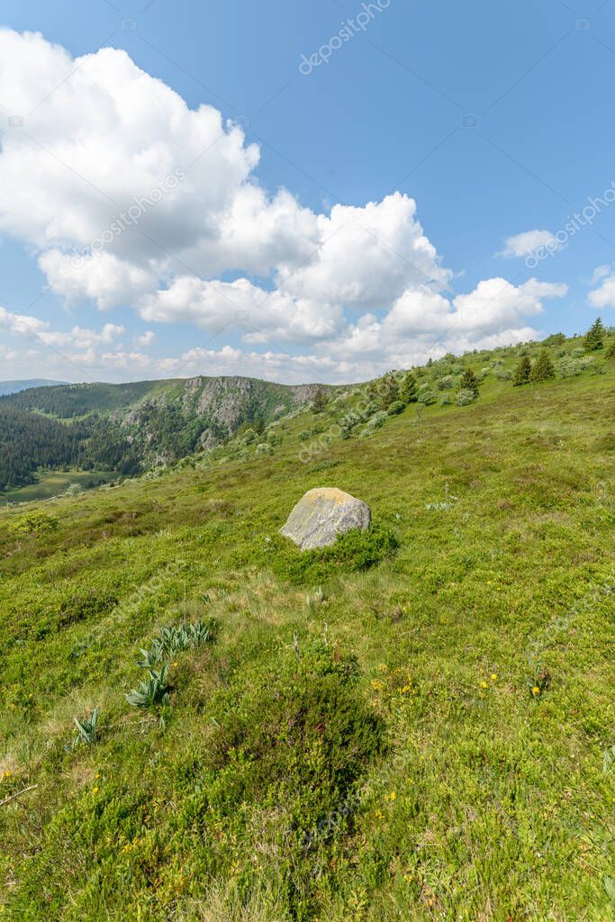 Paisaje de las altas montañas de los Vosgos cerca de la carretera de ...