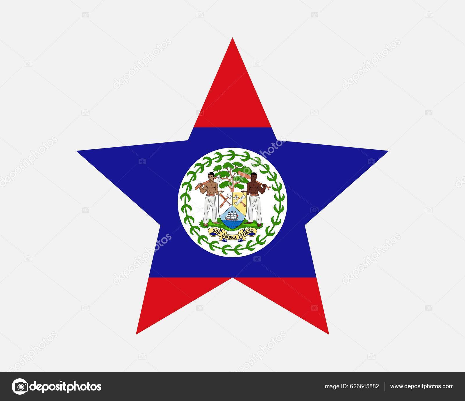 Belize Star Flag Belizean Star Shape Flag Country National Banner Stock ...