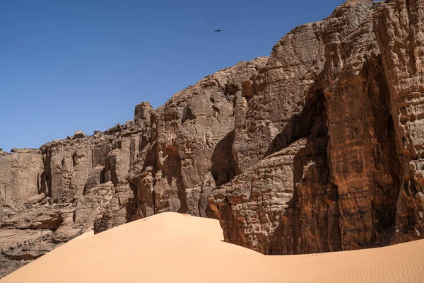 El madar fotos de stock, imágenes de El madar sin royalties | Depositphotos
