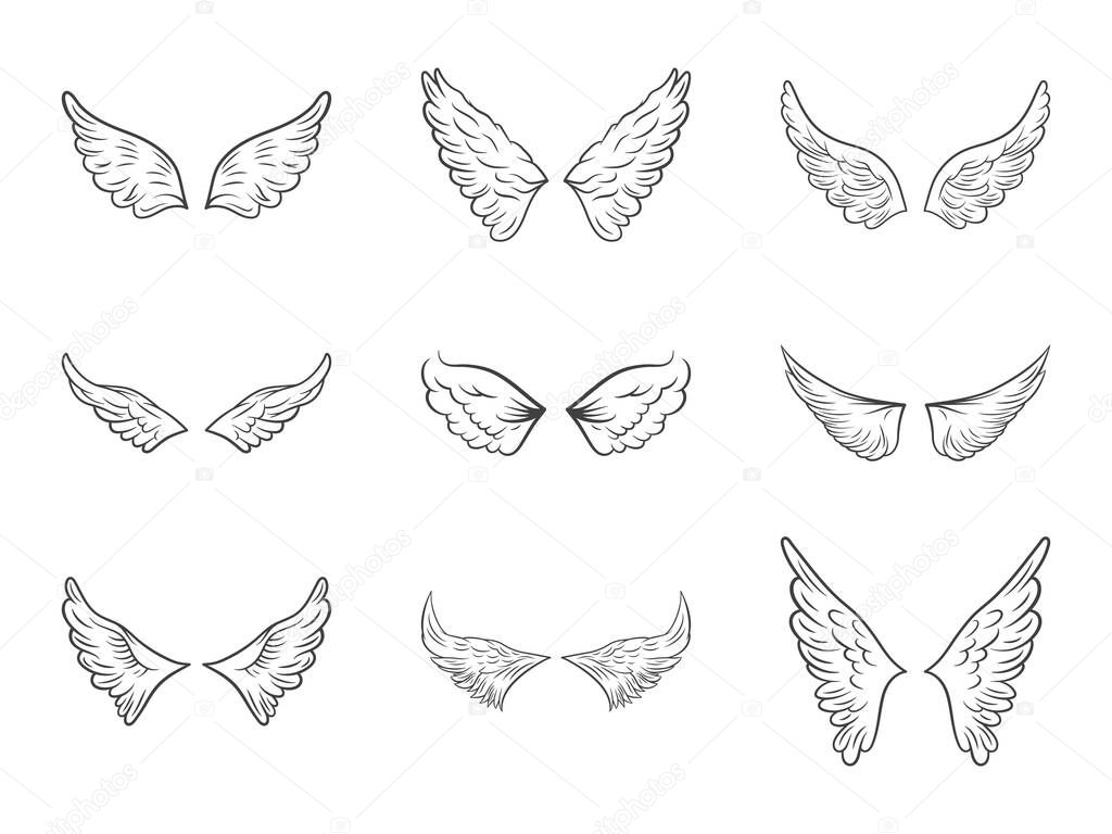 Conjunto Iconos Ala Contorno Negro Vectorial Aislado Sobre Fondo Blanco ...