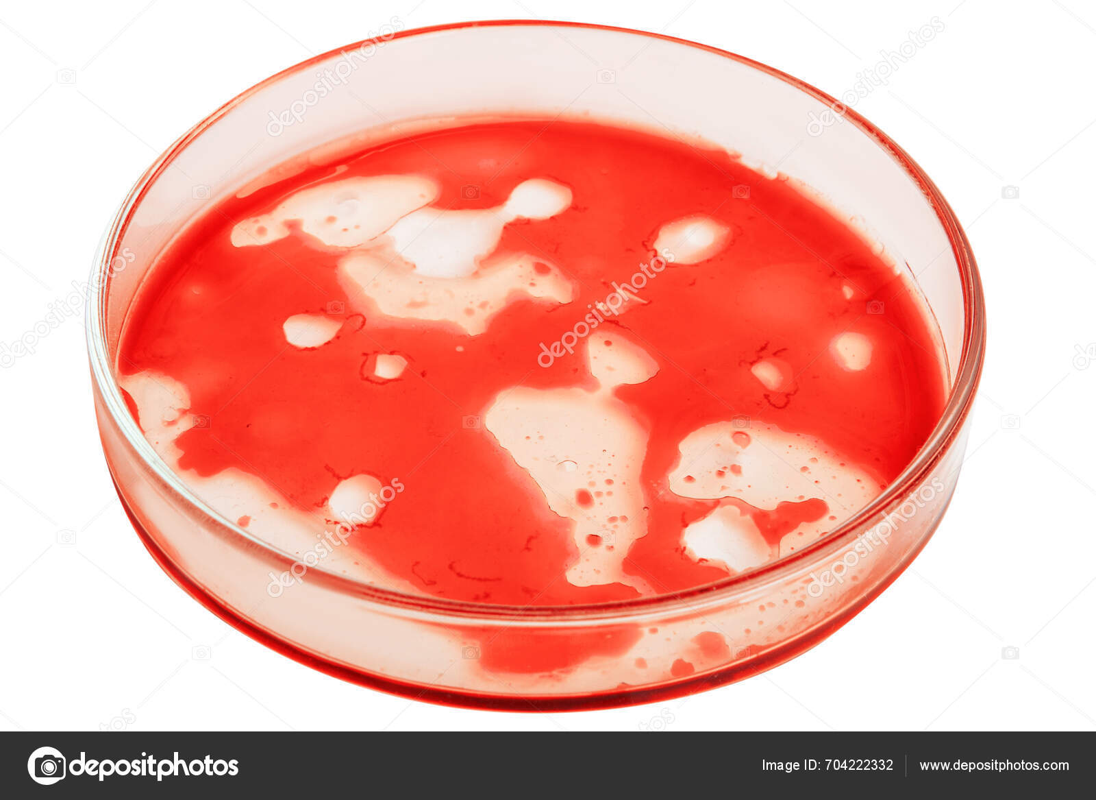 Petri Dish Bloody Red Liquid Blank Background — Stock Photo © marina ...