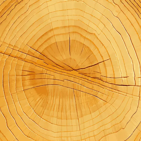 Tree cross section Vector Images | Depositphotos