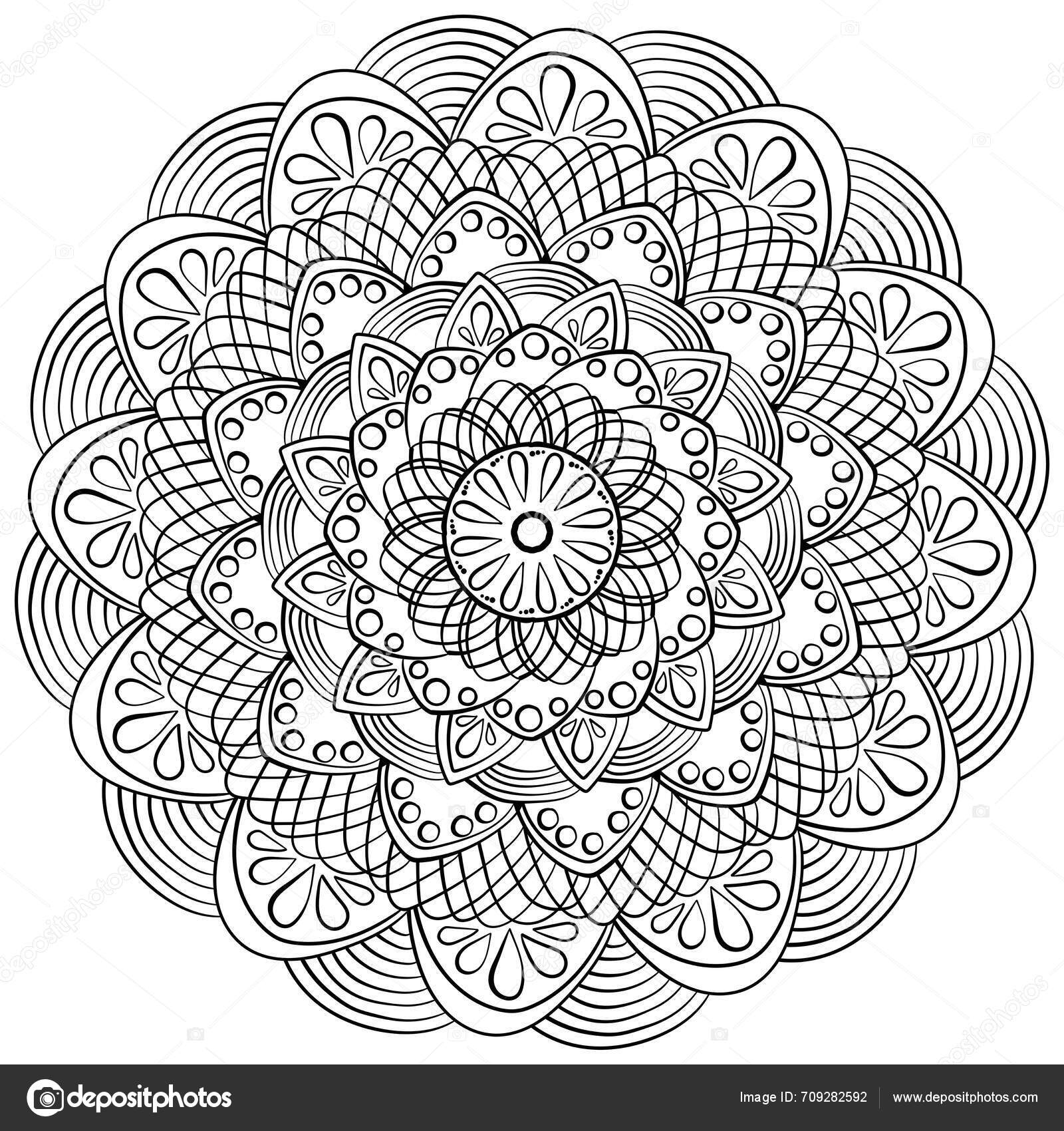 Ornate Mandala Drops Circles Grid Lines Meditative Coloring Page Vector ...
