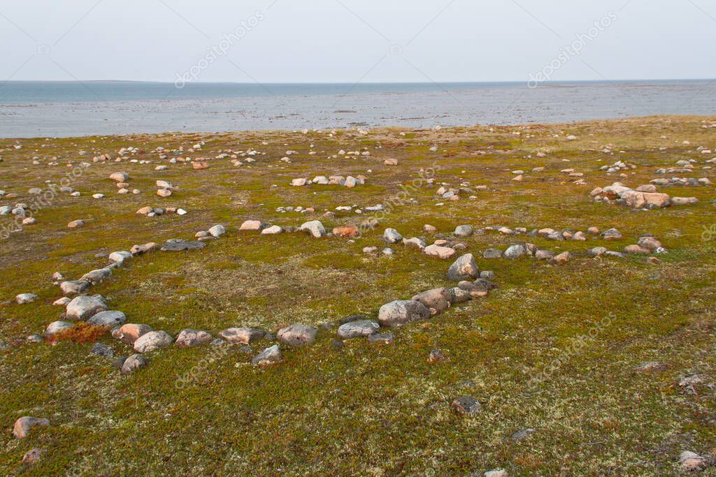 Remains of several Inuit tent rings along the coast of Hudson Bay north ...