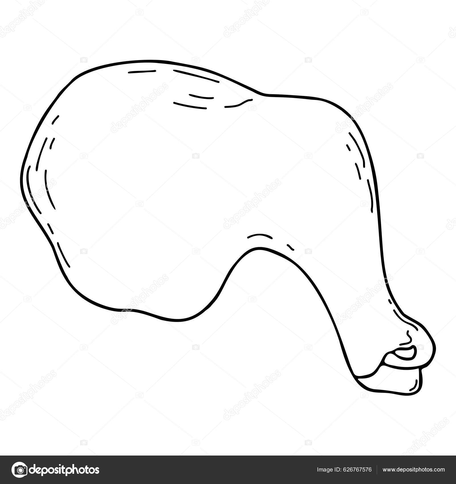 Chicken Leg Outline