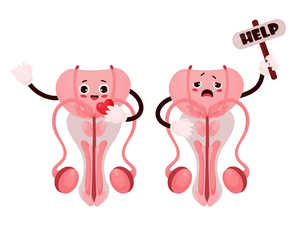 Női Méh Emberi Reproduktív Szerv Vektor Illusztráció Lapos Rajzfilm ...