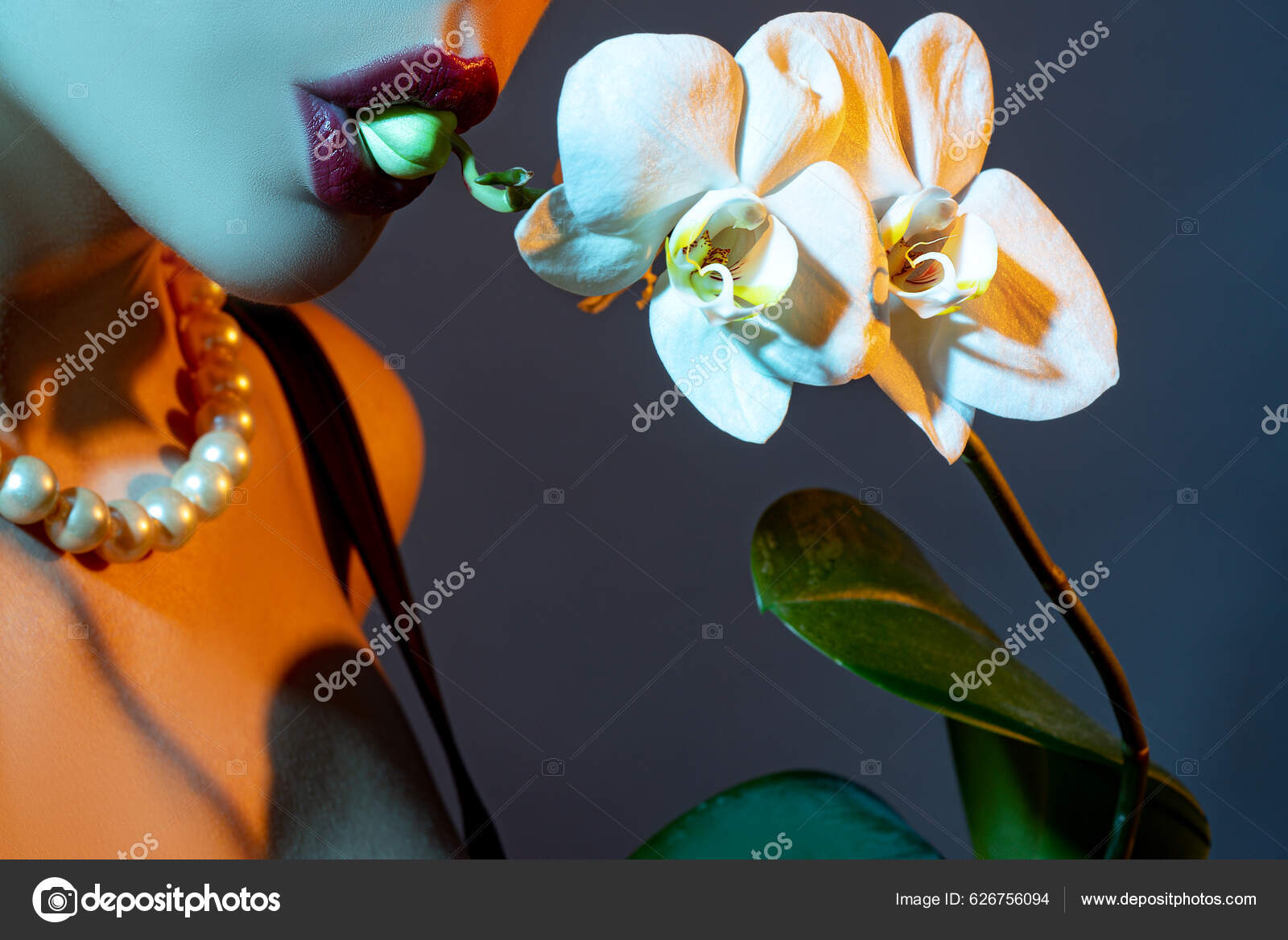 Sexy Woman Lips Orchid Woman Lips Orchid Flower Sensual Woman Stock