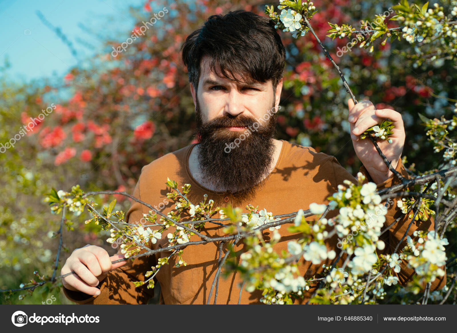 Portrait Handsome Man Blossom Spring Background — Stock Photo ...