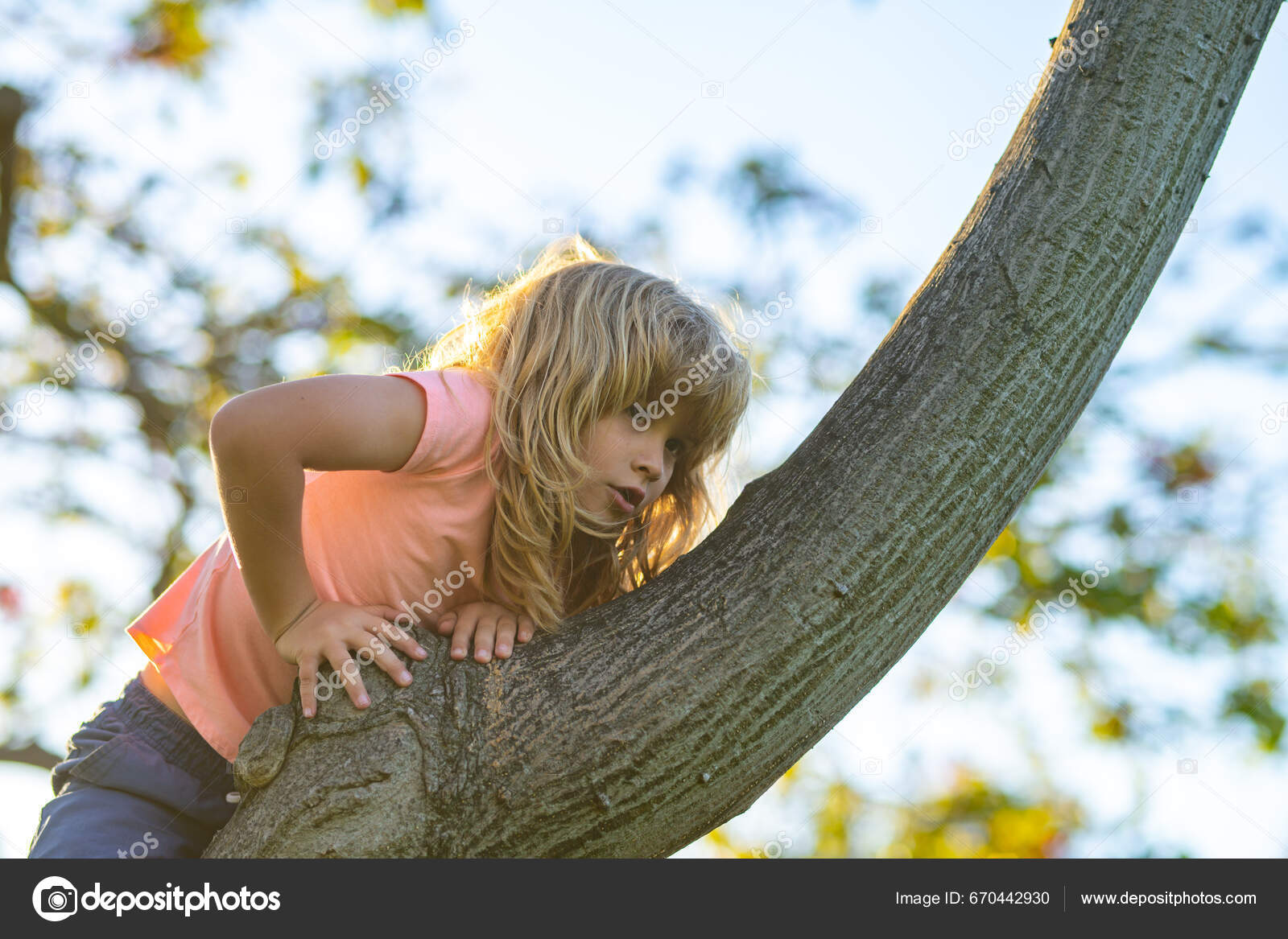 Kid Boy Playing Climbing Tree Hanging Branch — Stock Photo © Tverdohlib ... Kid Boy Playing Climbing Tree Hanging Branch — Stock Photo © Tverdohlib ...