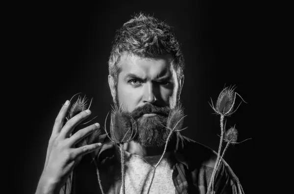 Well-groomed beard. Care for your beard. Beard bristled. Male prickly ...