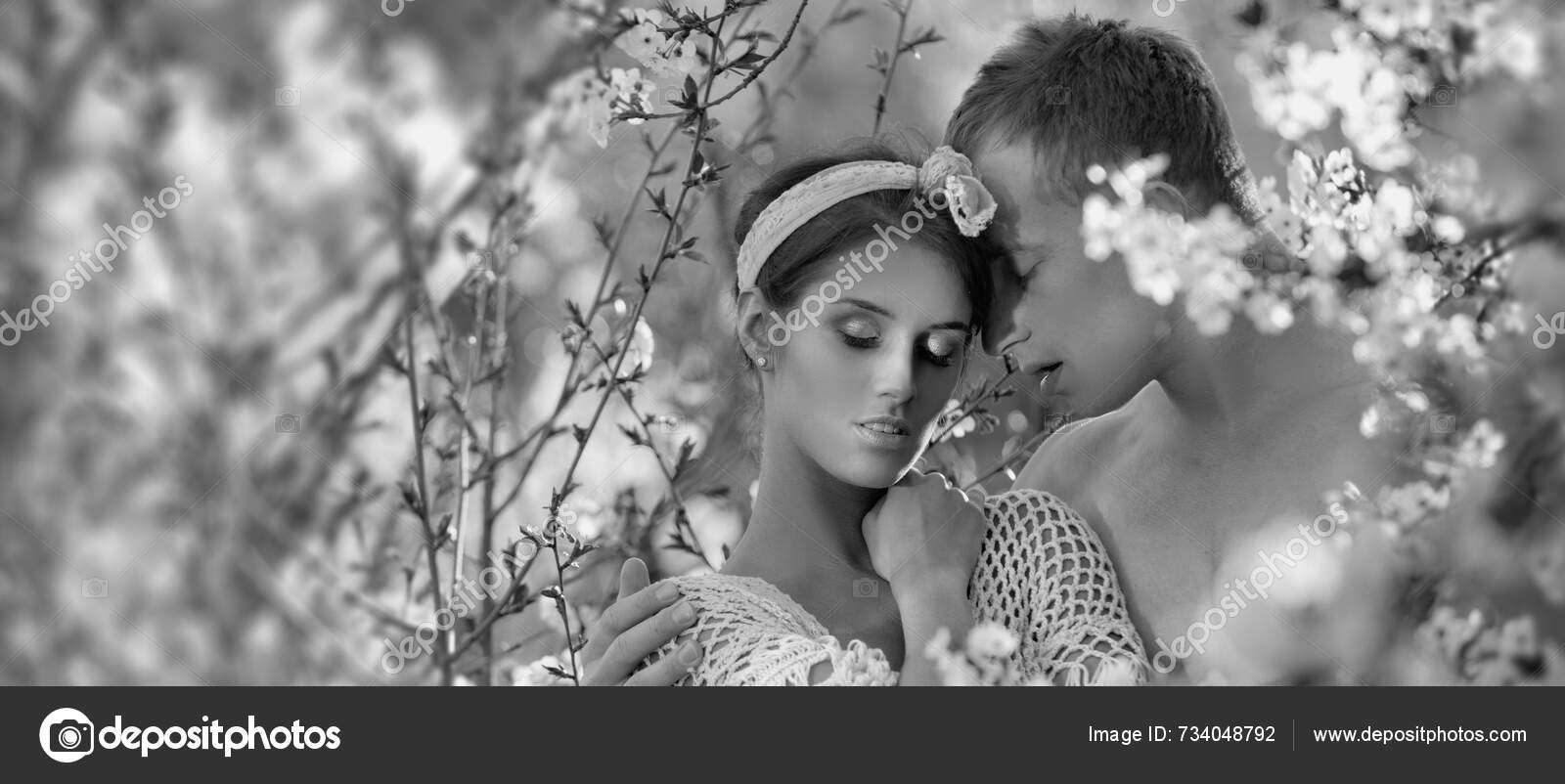 Couple Love Spring Banner Honeymoon Spring Couple Cherry Blossom Tree ...
