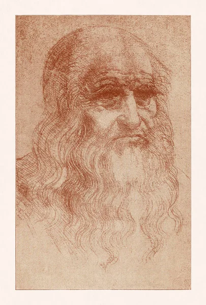 Leonardo davinci drawings Stock Photos, Royalty Free Leonardo davinci ...