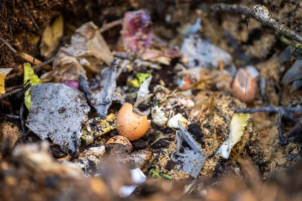 adding food waste to a compost pile. egg shell, vegetable, and fruit ...