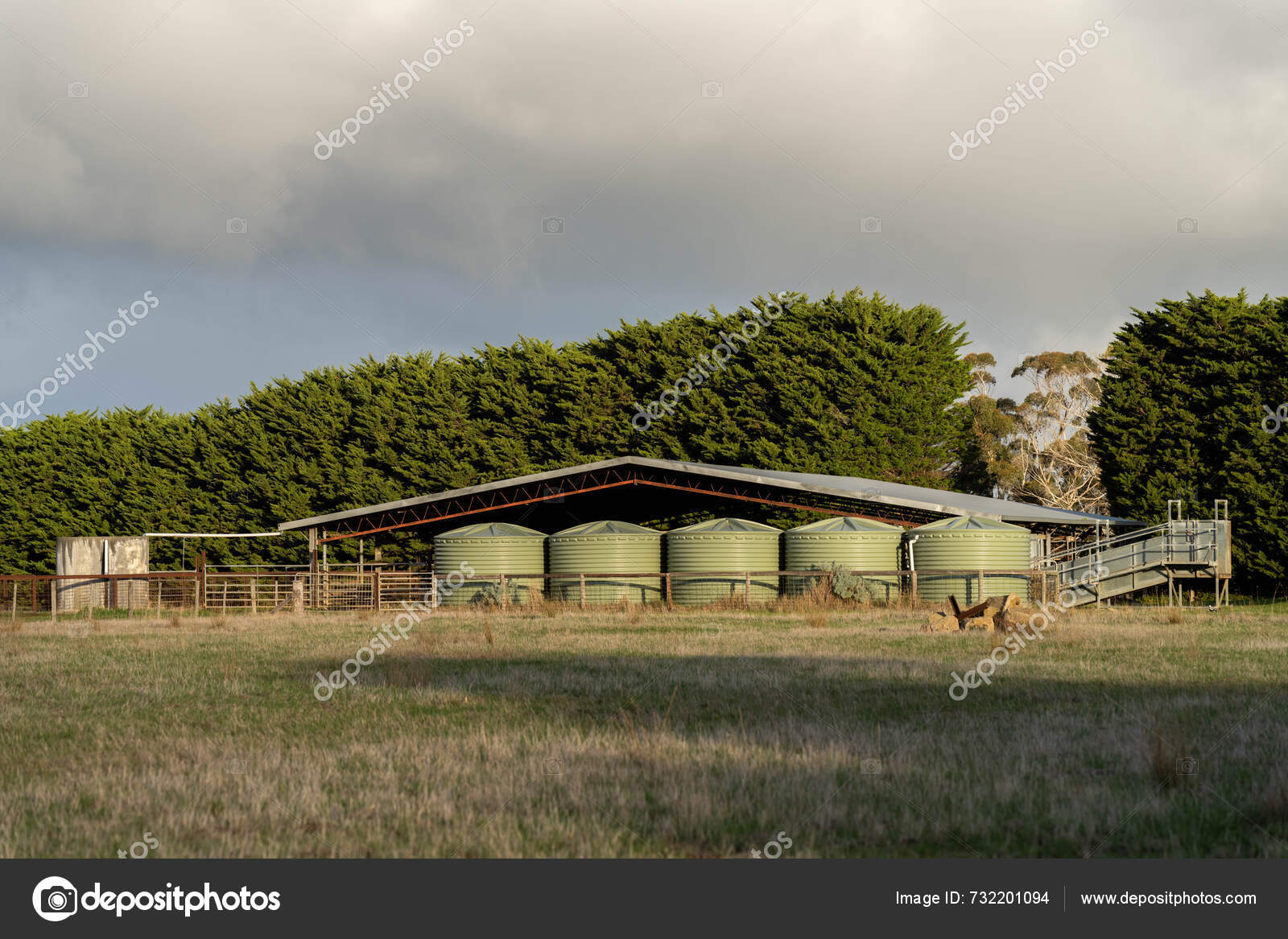 Cattle Yards Farm Roof Plastic Water Tanks Them — Stock Photo © wedge ...