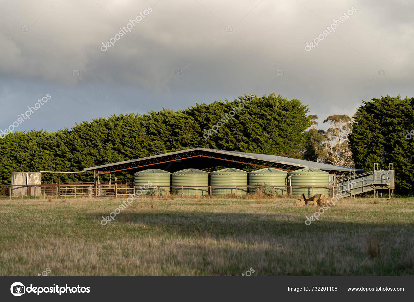 Cattle Yards Farm Roof Plastic Water Tanks Them — Stock Photo © wedge ...