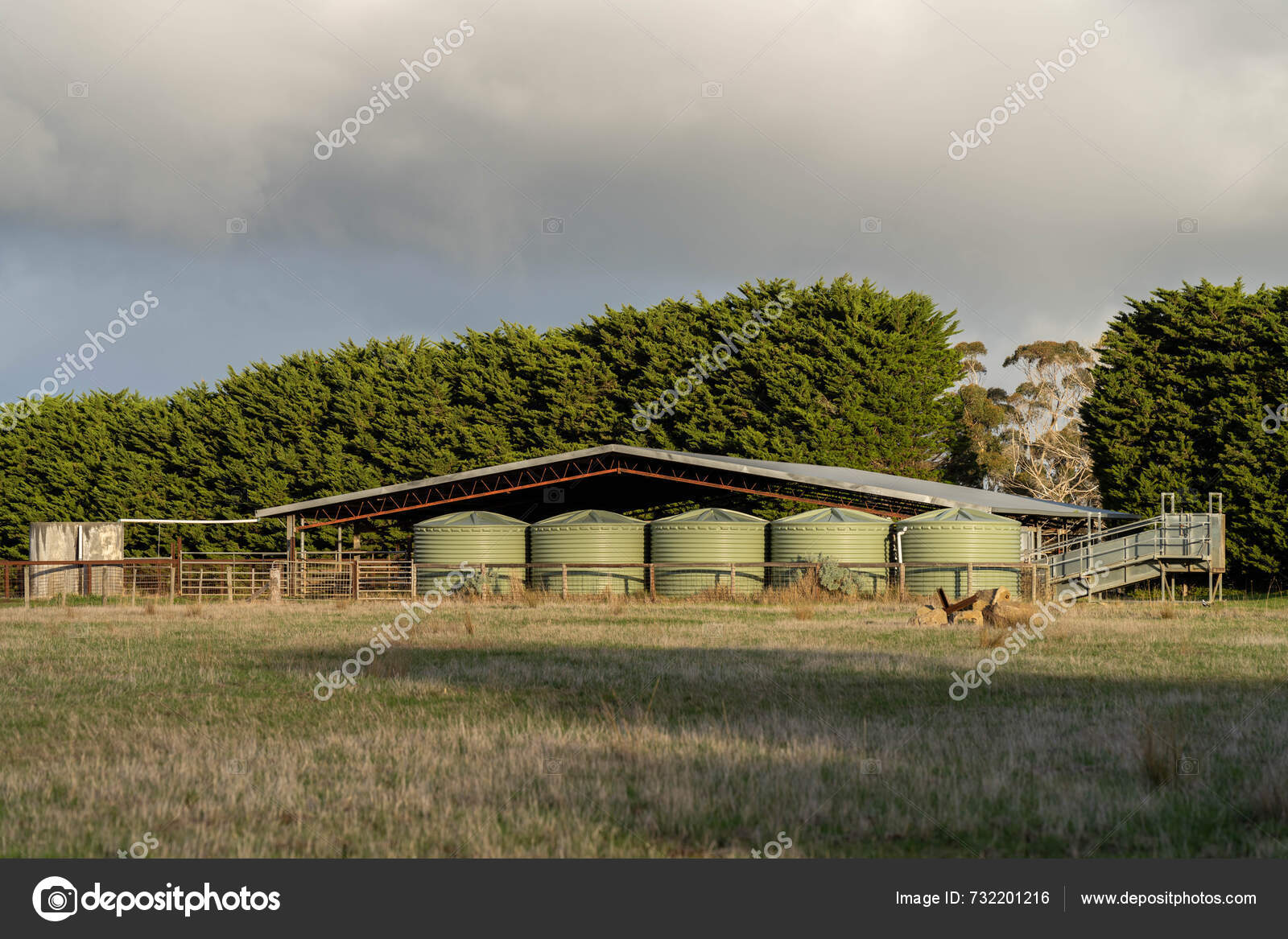 Cattle Yards Farm Roof Plastic Water Tanks Them — Stock Photo © wedge ...